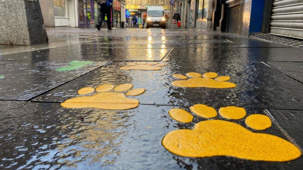Inverness city centre painted dog paw prints to stay - BBC News