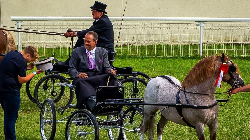 Royal Welsh Show: Showcasing the best of Wales' livestock - BBC News