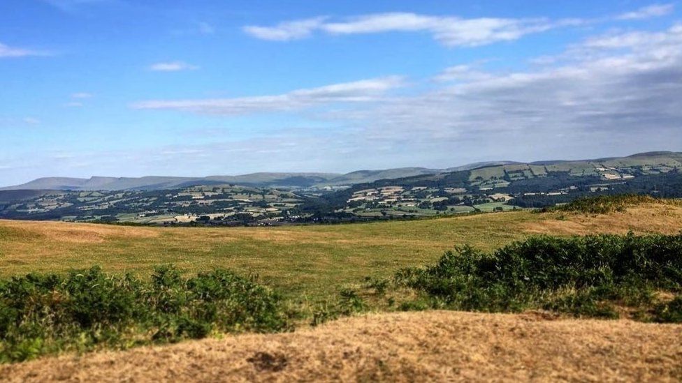 Lle i enaid gael llonydd: Megan Williams - BBC Cymru Fyw