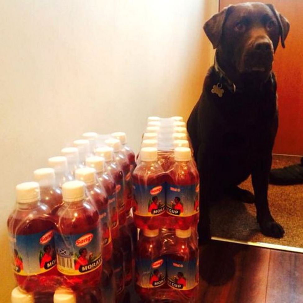 Outcry as fizzy drink Moray Cup is discontinued - BBC News