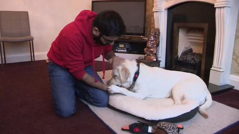 The guide dog that spies on people who ignore its owner - BBC News