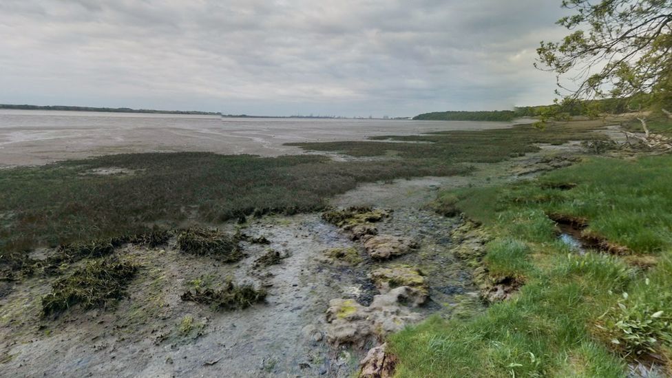 Four children rescued from Wrabness mudflats as tide comes in - BBC News