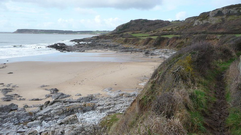 Gower gig paused to request lifeboat crew after woman stung by fish ...