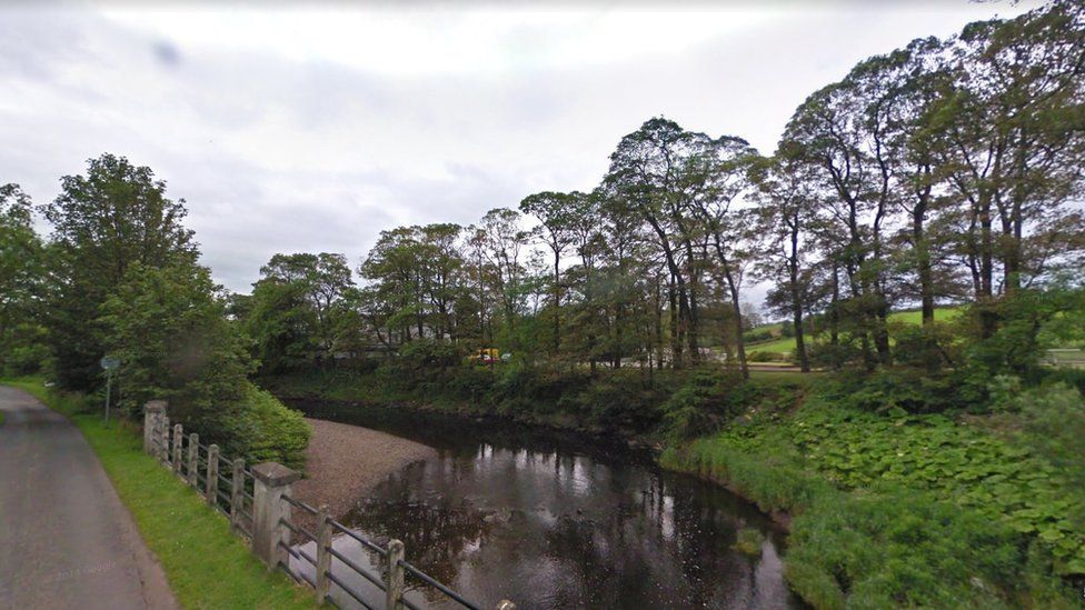 Probe under way after dog found in river tied to a rock - BBC News
