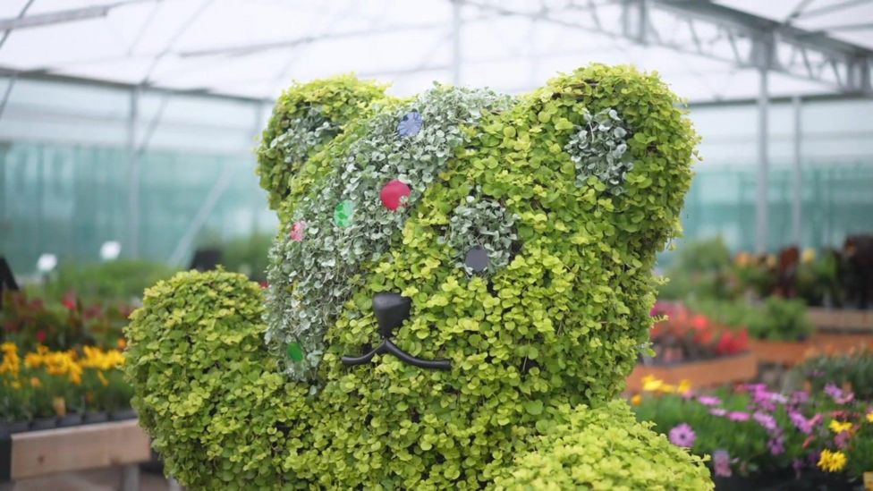 RHS Tatton Park: Giant floral Pudsey bear makes show return after 21 ...
