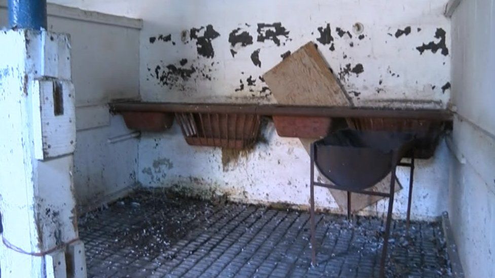Fight to save WW1 Kent stables taken to War Horse audiences - BBC News
