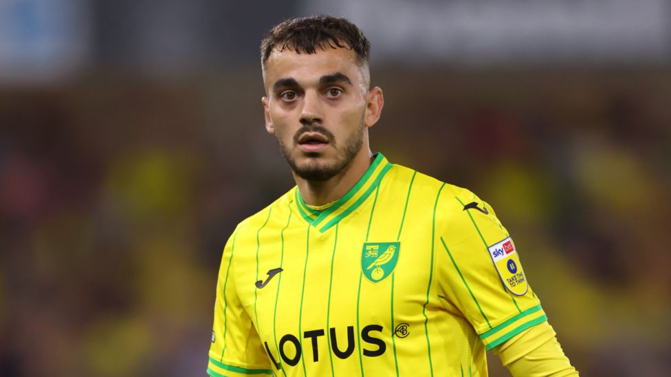 Norwich City quiz: The Goreham Check answer - BBC Sport
