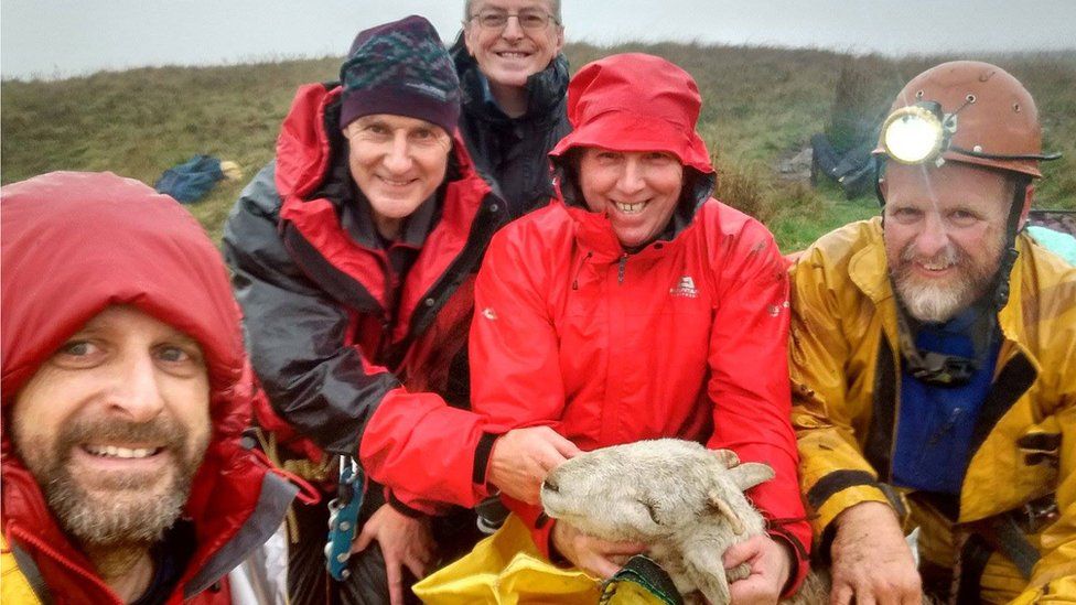 Aelodau o 'dîm Gwlad Thai' yn achub dafad Gymreig - BBC Cymru Fyw
