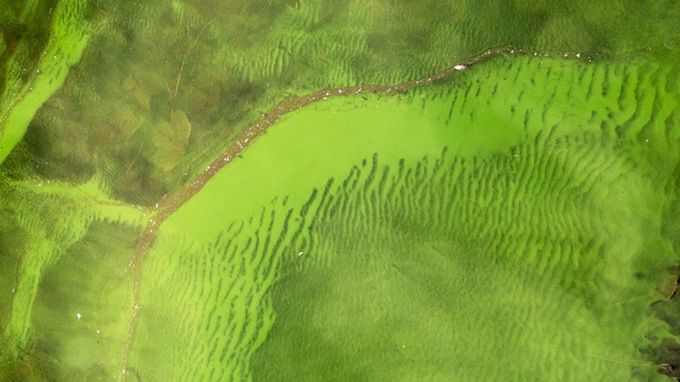 Clean waters: Why was untreated sewage illegally pumped into Windermere ...