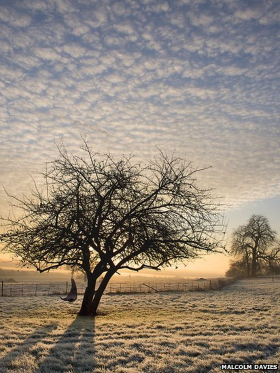 Your January weather photos - BBC Weather