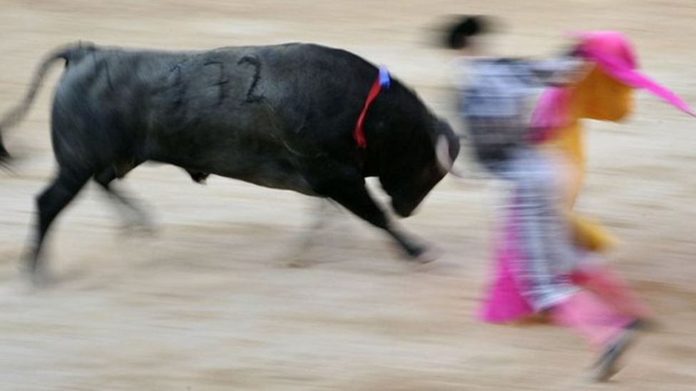 Spain bullfighting: DNA test 'shows' 'El Cordobes' are father and son ...