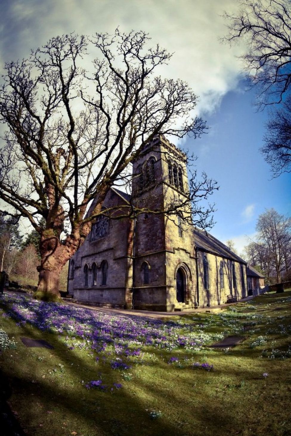 Your pictures of Scotland 26 February - 5 March - BBC News