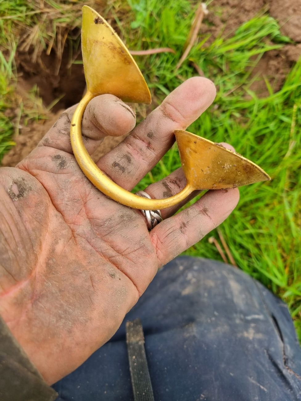 Nottinghamshire metal detectorist unearths rare Bronze Age artefact ...