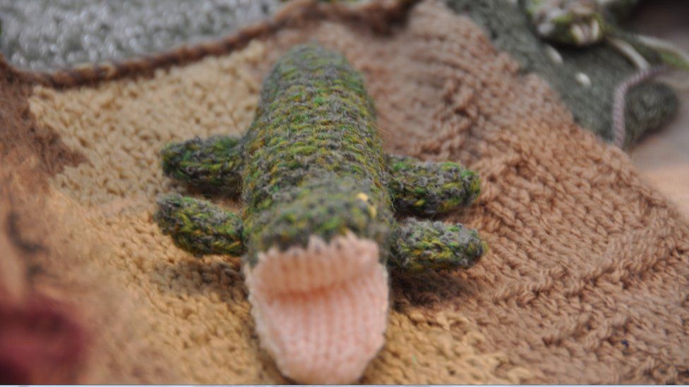 Artist to crochet life-size 'Bristol crocodile' - BBC News