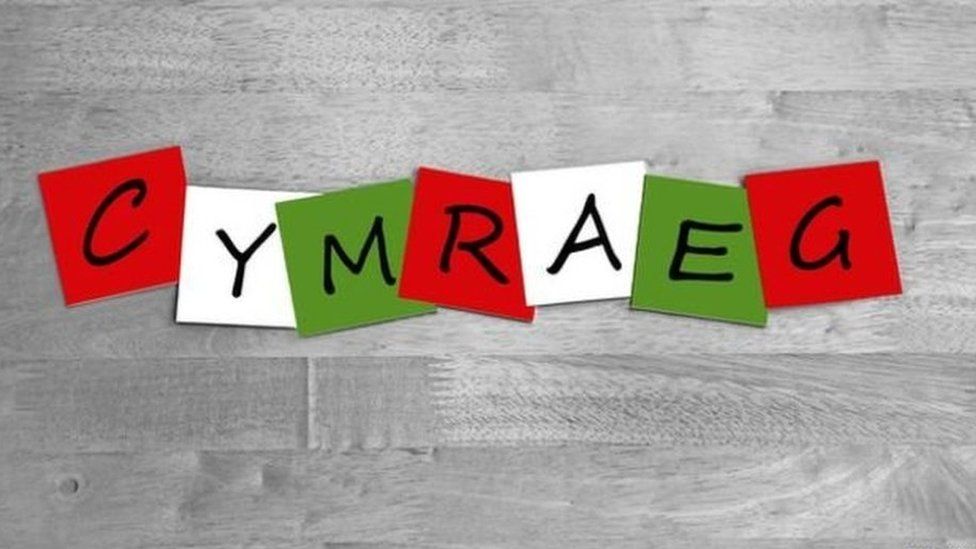 Welsh language Coleg Cymraeg Cenedlaethol faces review - BBC News
