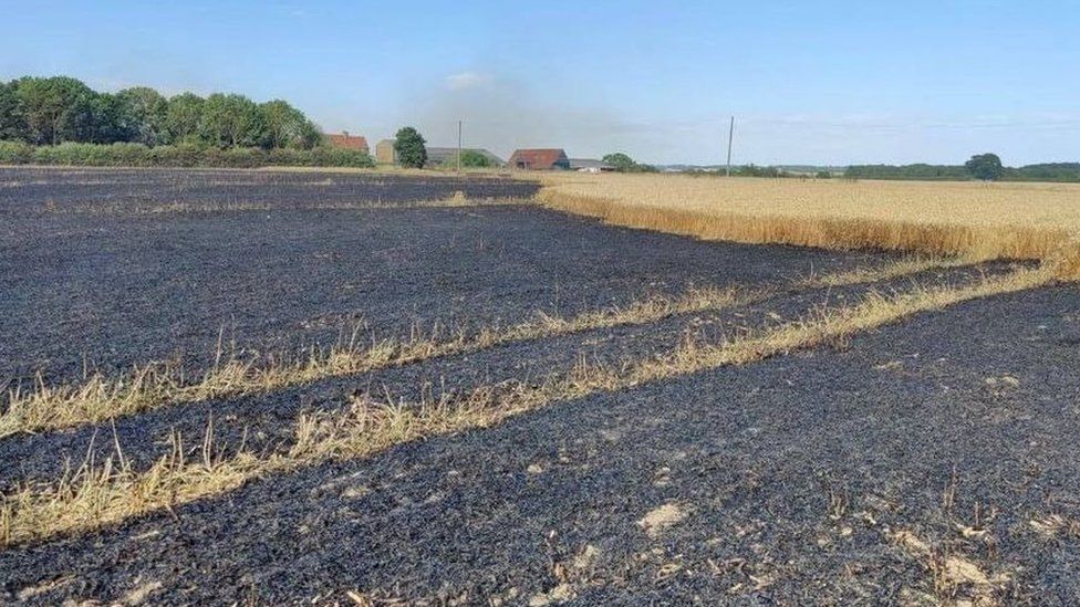 Essex fire crews tackle three large field fires - BBC News