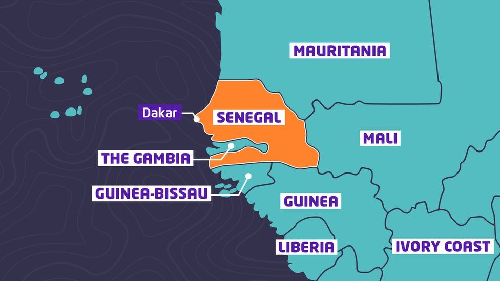 World Cup 2022: Facts about Senegal - BBC Newsround