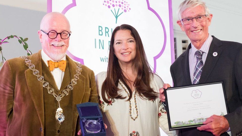Kingsbridge wins horticultural excellence award at Britain in Bloom ...