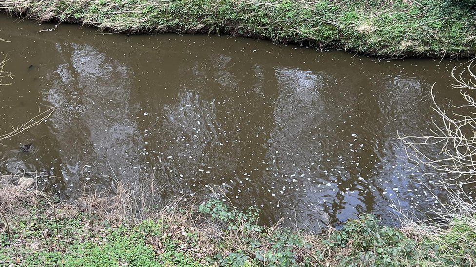 Crumlin River: Anglers concerned about fish kill - BBC News