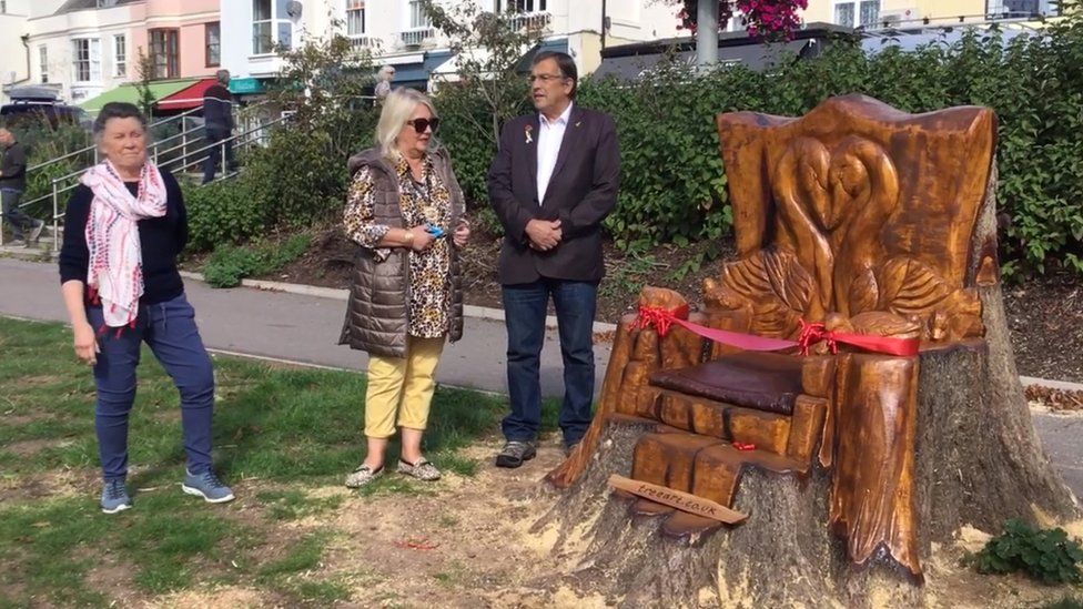 Dawlish tree stump transformed into throne - BBC News