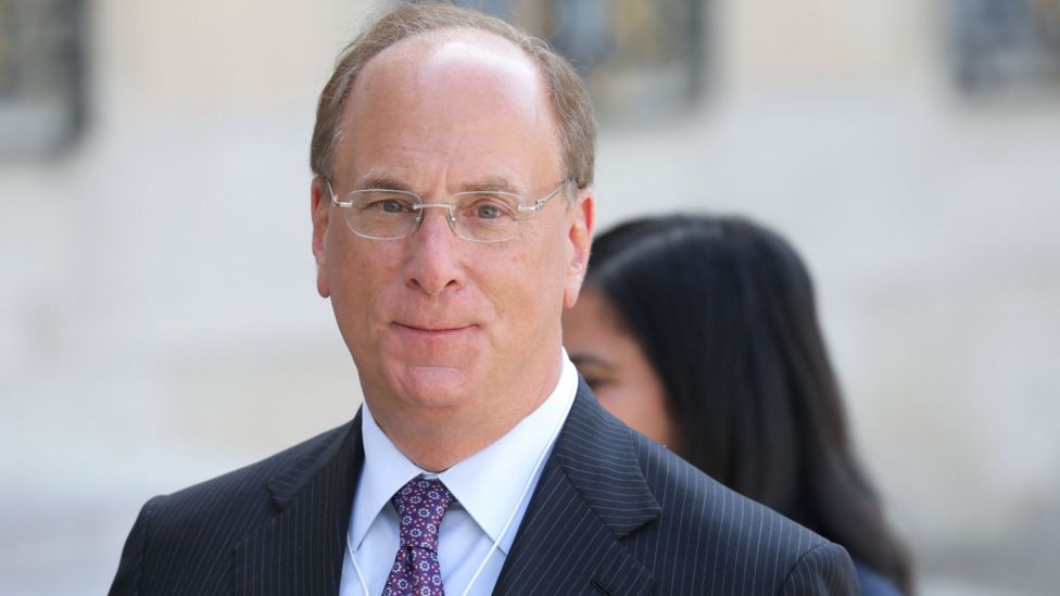 Blackrock chief: ‘How Covid could help save the planet’ - BBC News
