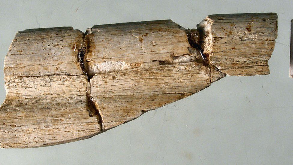 Durham archaeological dig reveals 'earliest resident' - BBC News