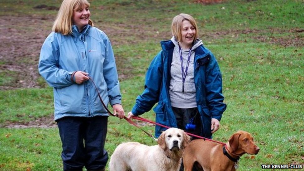 Owners told to clean up mess in 'dog walking code' - BBC News