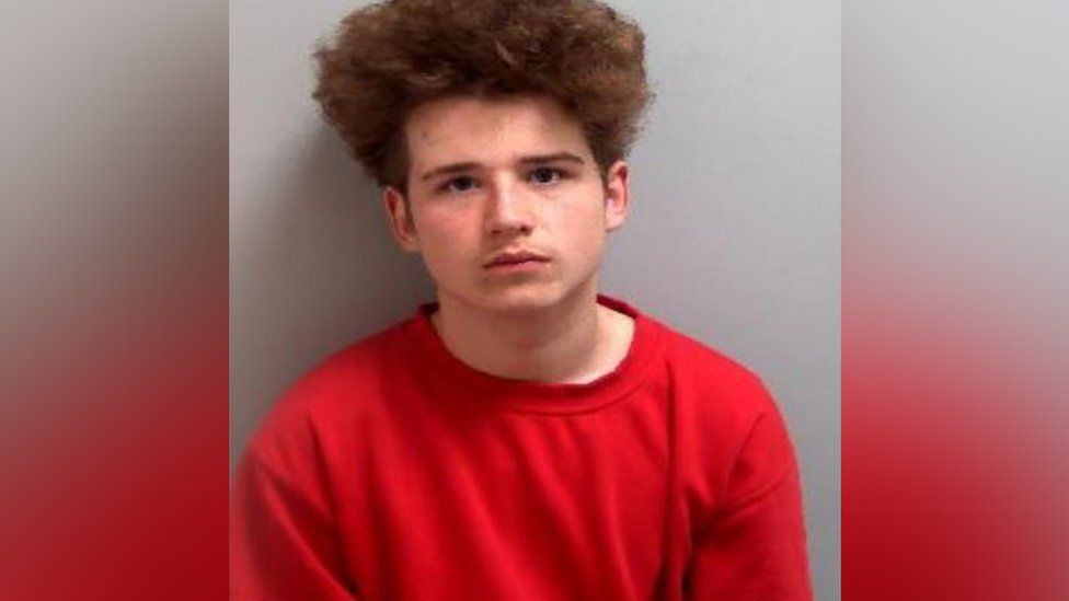 Essex teenager detained for 'brutal' stabbing of stranger - BBC News