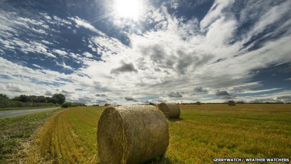 Weather Watcher Profile: gerrywatch - BBC Weather