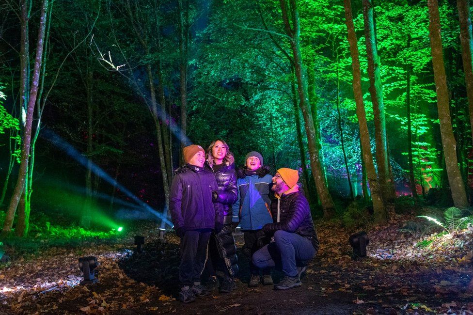 Enchanted Forest light show celebrates 20 years - BBC News
