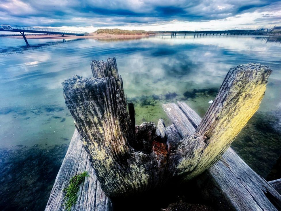 Your pictures of Scotland: 20 - 27 May - BBC News