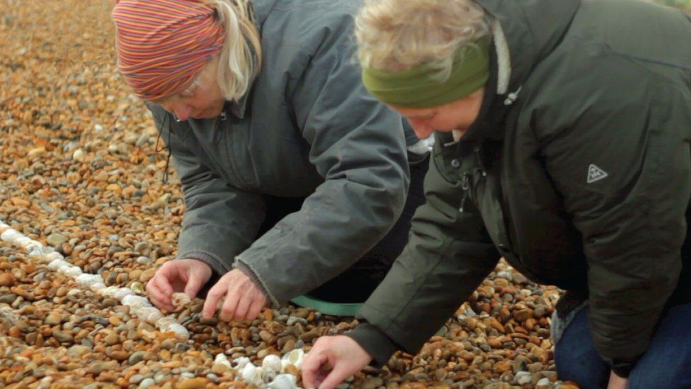 Shingle Street shell line inspired by friends' cancer treatment - BBC News