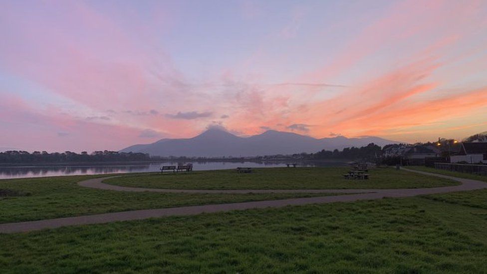 Spring: How do you know when it has sprung? - BBC News