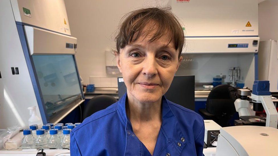 Macular degeneration research grows human cells in artificial eye - BBC ...