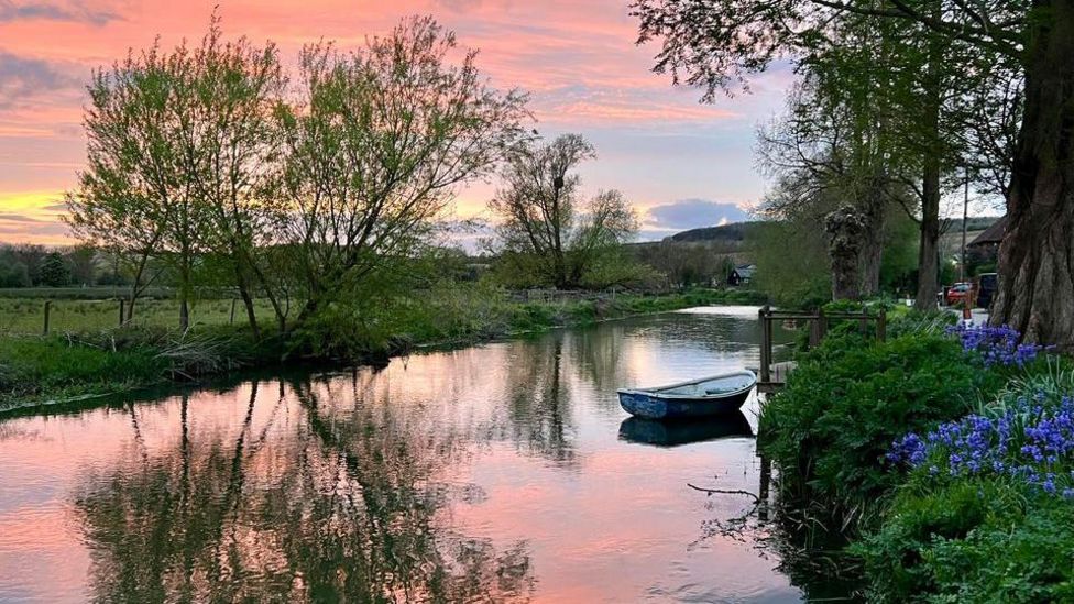 Our favourite images of the week from Kent - BBC News