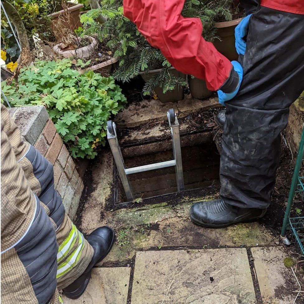 Hampshire labrador rescued after falling into deep sewer - BBC News