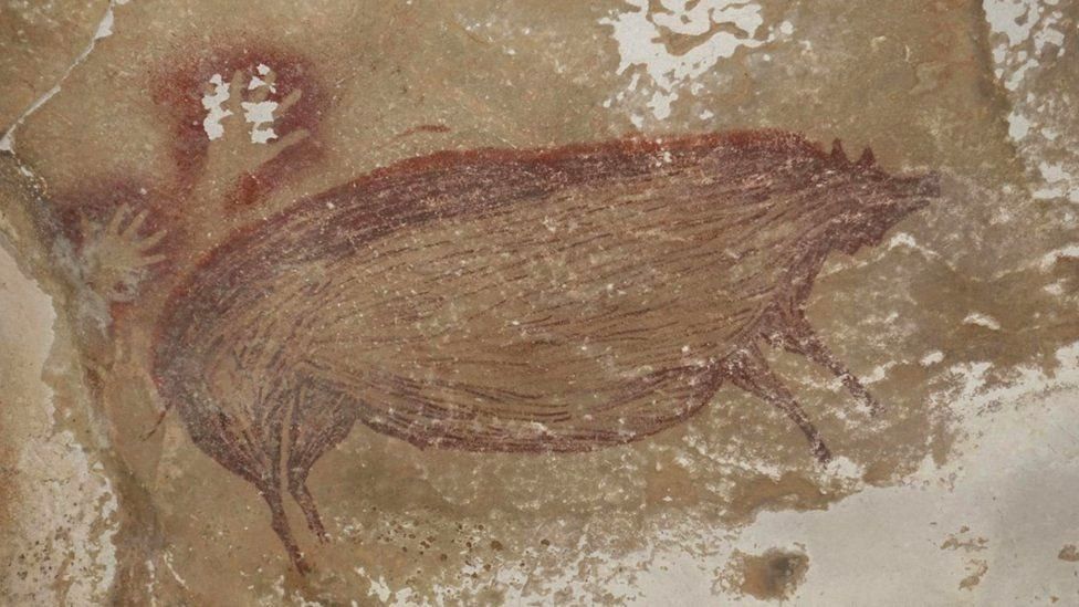 Archaeology: Wild pig painting drawn over 45,000 years ago. - BBC Newsround
