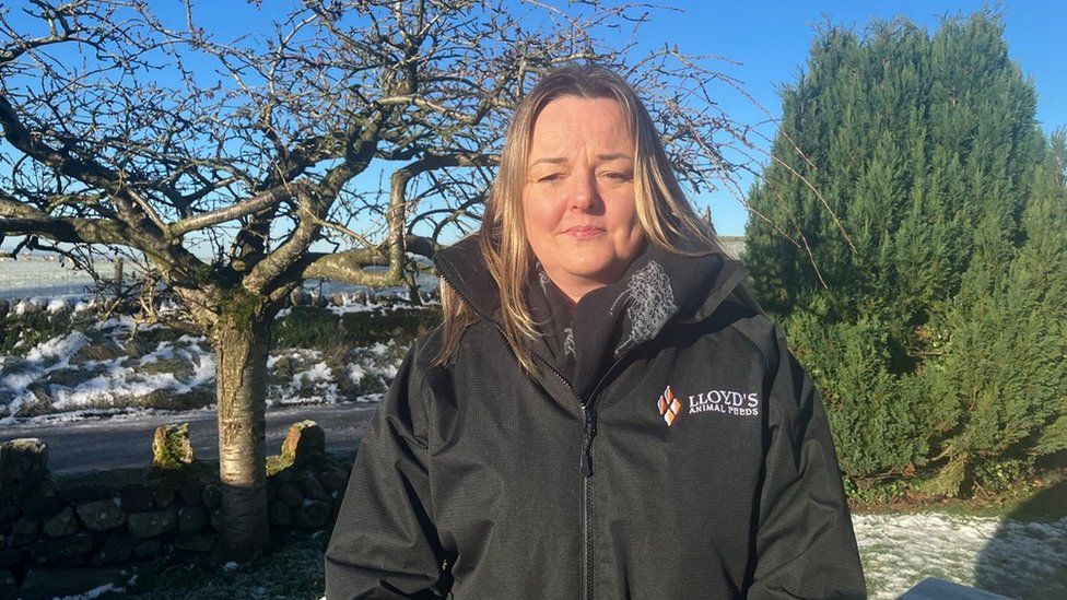 Cumwhitton: Accident fears over Cumbrian road gritting cutbacks - BBC News