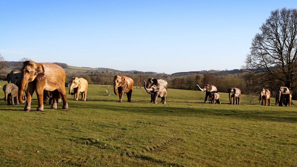 Wooden elephant herd 'migrates' to show human encroachment - BBC News