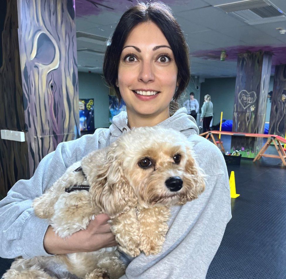 Soft play takes the lead thanks to booming dog economy - BBC News