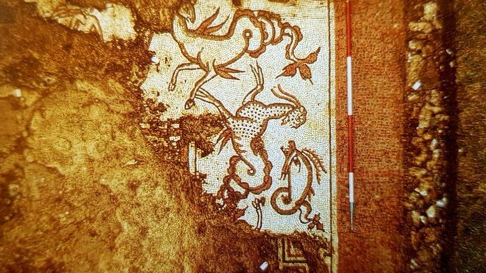 Dewlish Roman mosaic bought by Dorset County Museum - BBC News