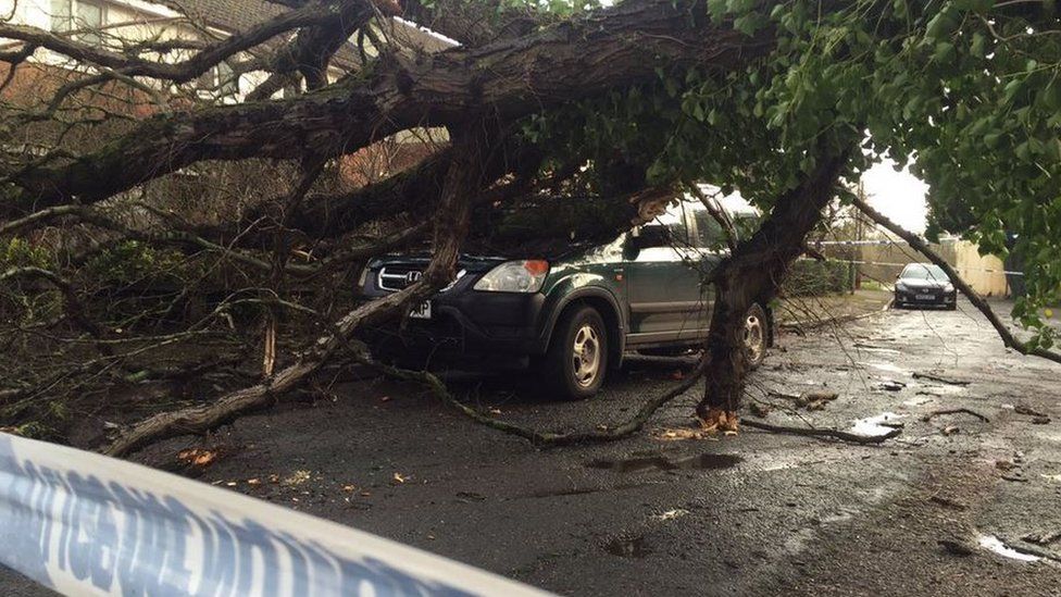 Storm Imogen: Bird rescue RSPCA man missing as winds lash coast - BBC News