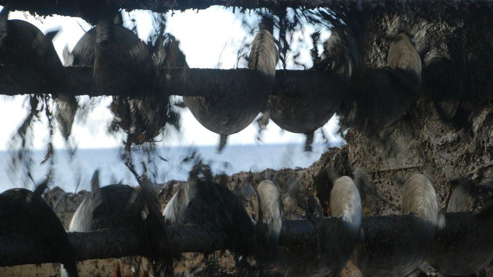 Capturing the unique rhythm of Scottish crofting life - BBC News