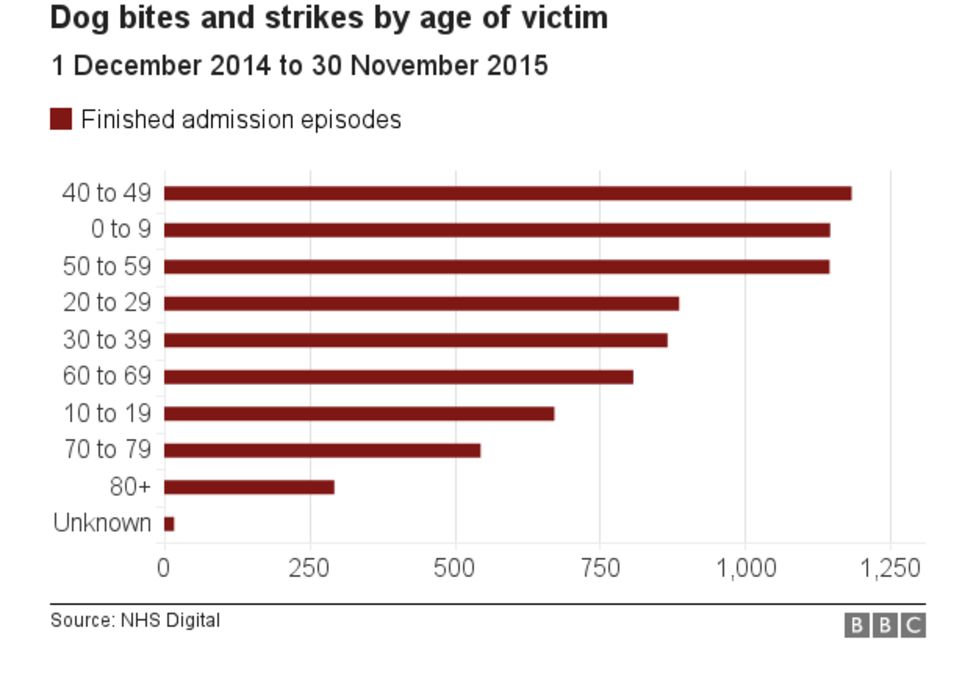 Dog attacks: When is a fatal dog mauling a criminal offence? - BBC News
