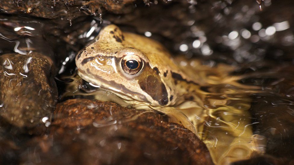 Your pictures of Scotland: 9 - 16 October - BBC News