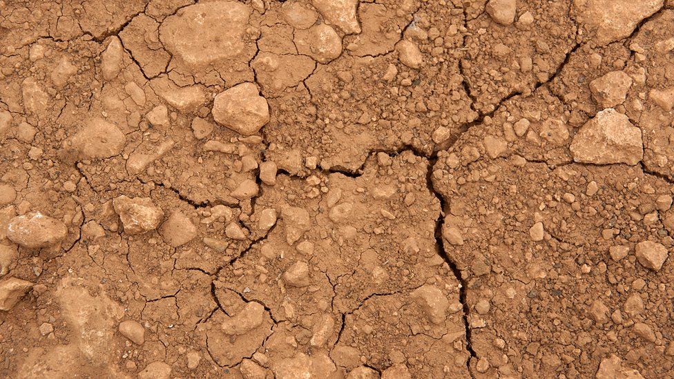 Can sand tell us more about the Earth's history? - BBC Newsround