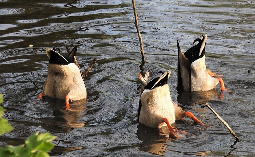 Your pictures on the theme of 'exercise' - BBC News