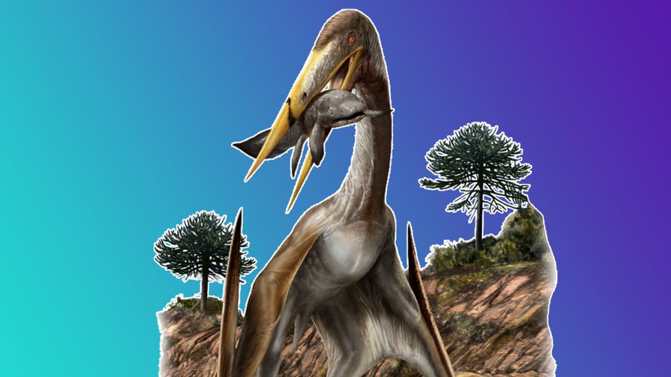 Prehistoric reptiles' long necks made them targets for predators - BBC ...