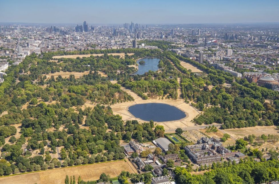 UK heatwave: Looking down on London's parched parks - BBC News