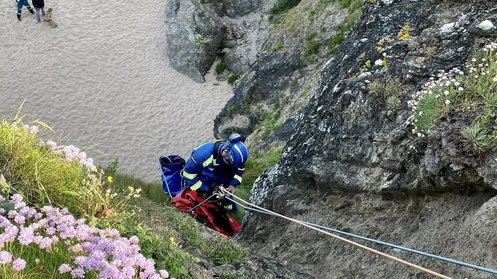 Dog rescued after getting stuck on cliff at Holywell Bay - BBC News